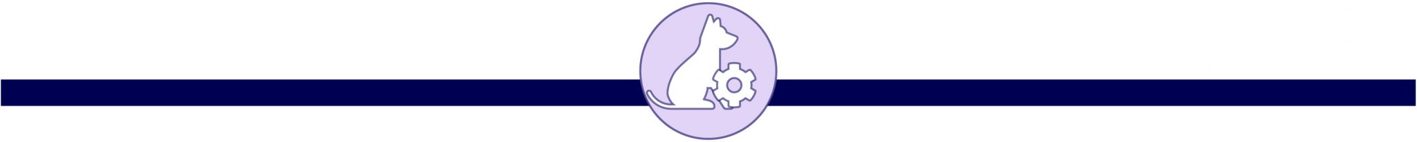 PHENOBARBITAL Phenoleptil® - Easyprep Veterinaire